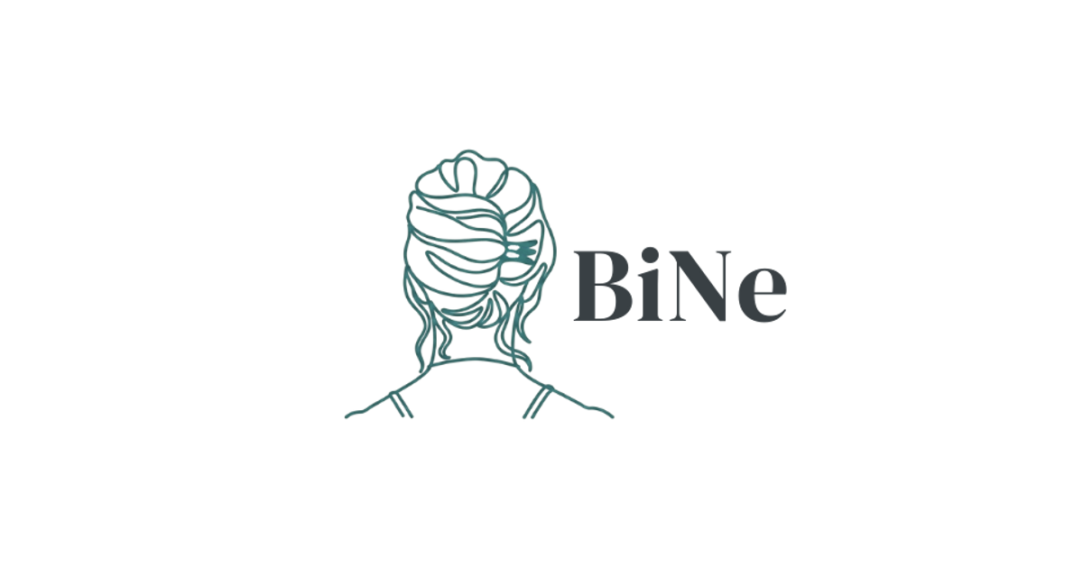 BiNe 3 Prong Hair Comb for professional hairstyle in seconds – BiNe ...